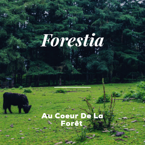 Forestia à Theux – Parc animalier et d’aventures – Bande d'Aventuriers ...