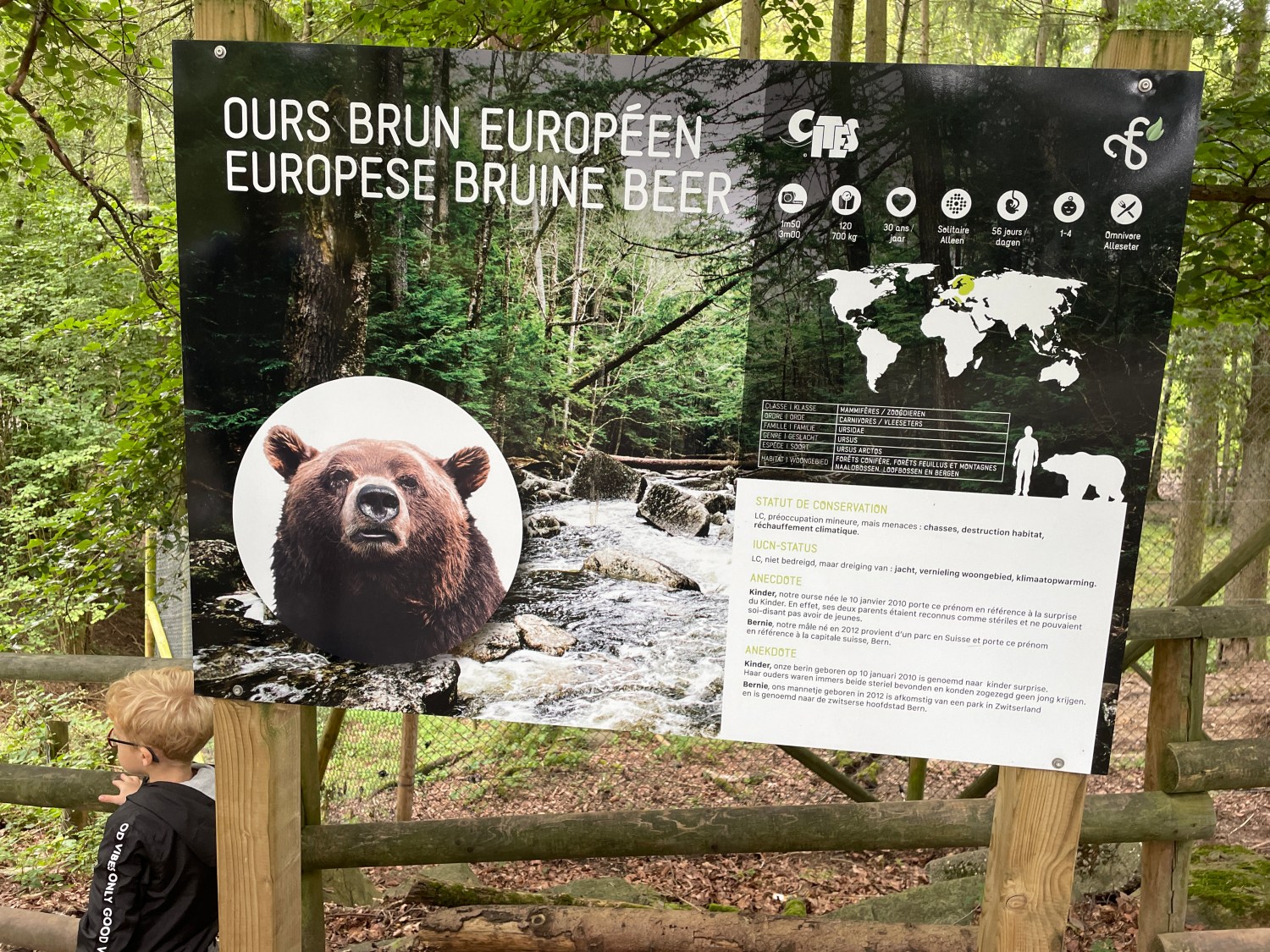 Forestia à Theux – Parc animalier et d’aventures – Bande d'Aventuriers ...